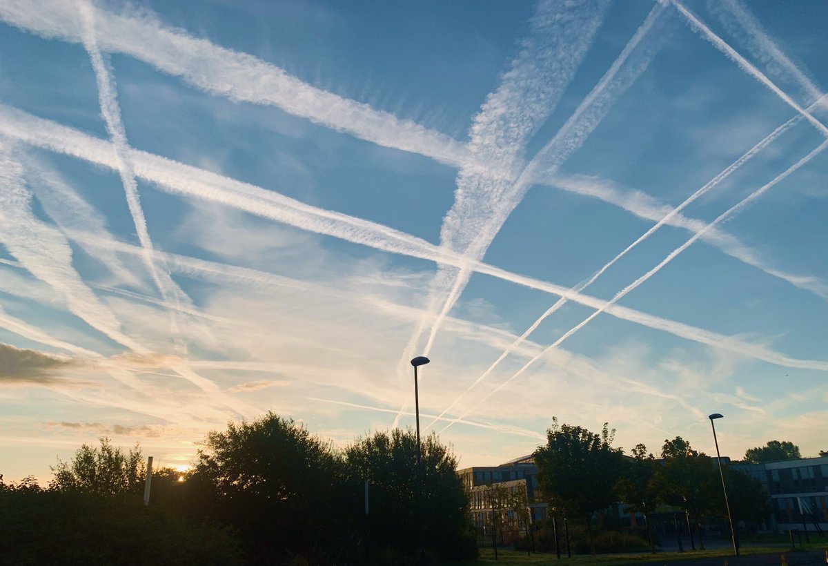 Perpendicular Lines In Nature