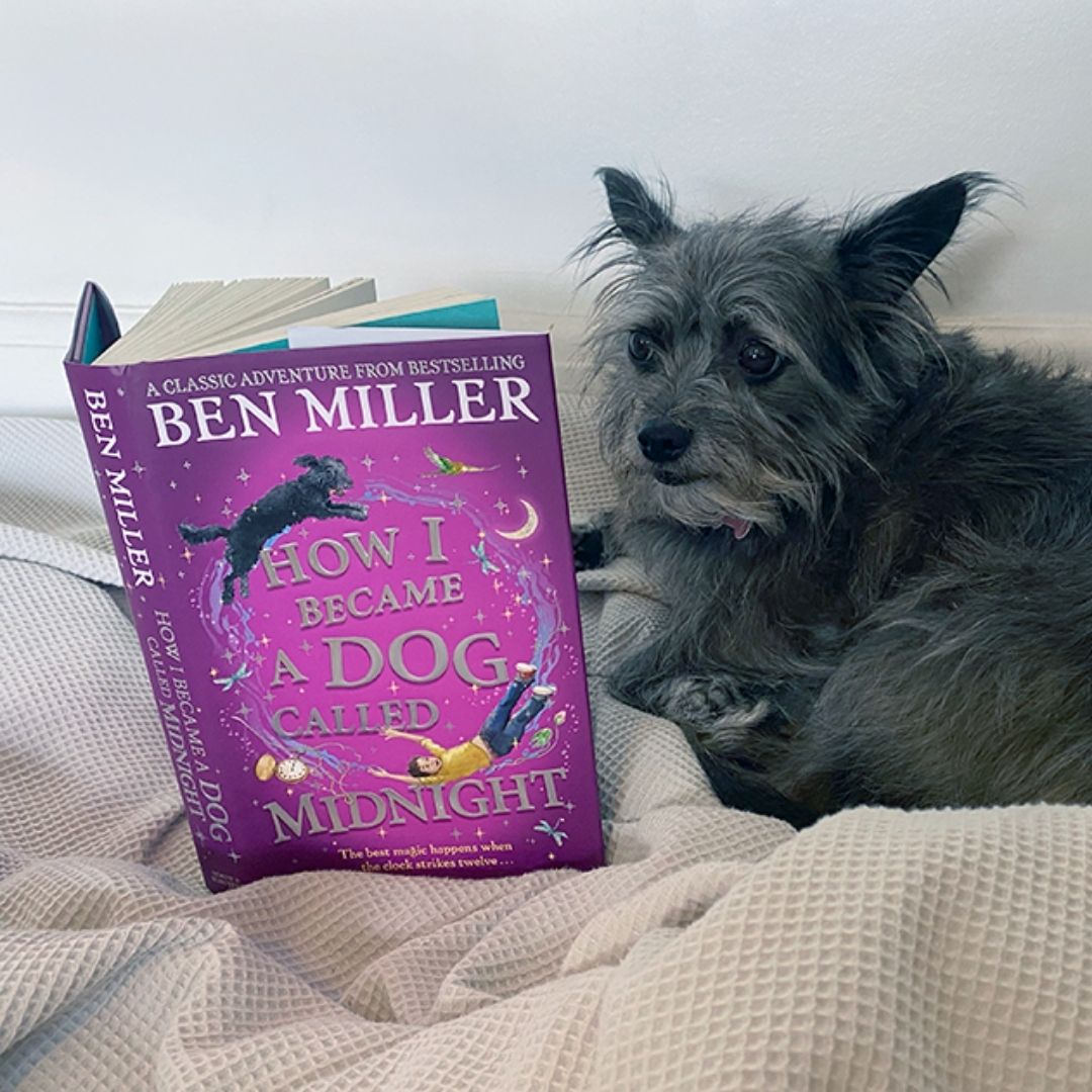 How I Became a Dog Called Midnight? – Pet Help Reviews UK