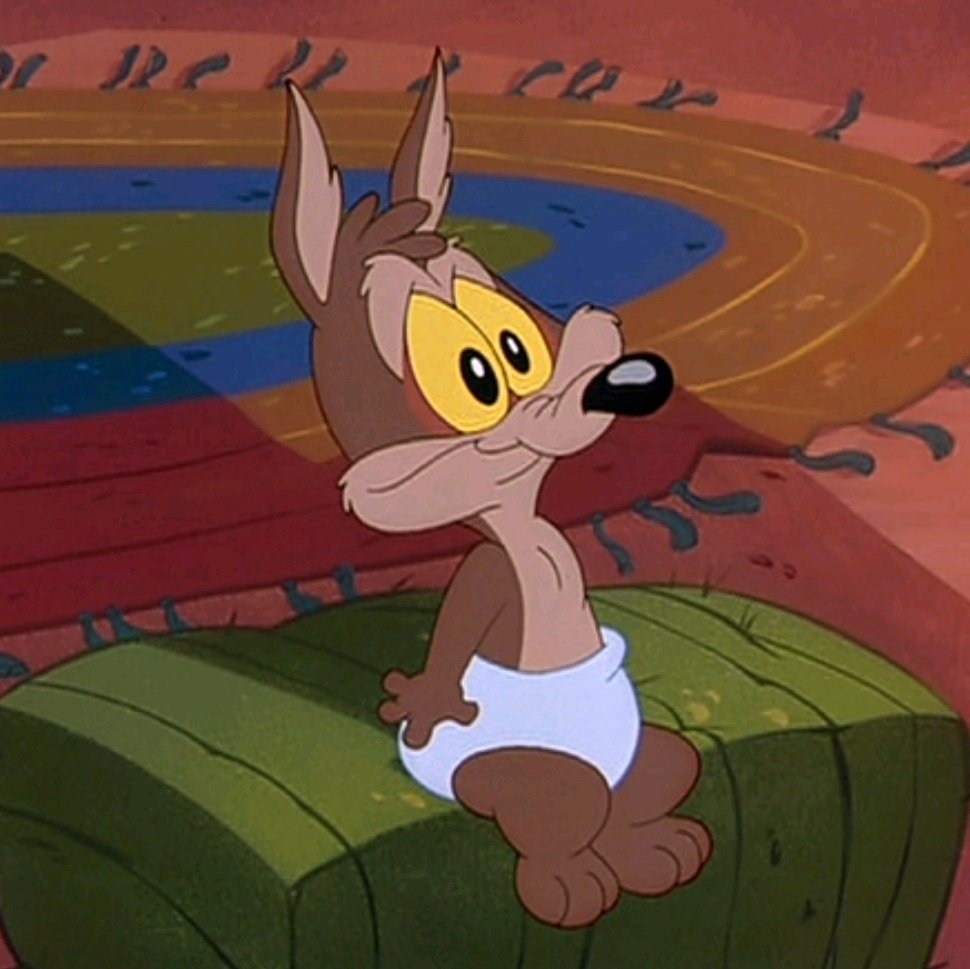 Baby Looney Tunes Coyote