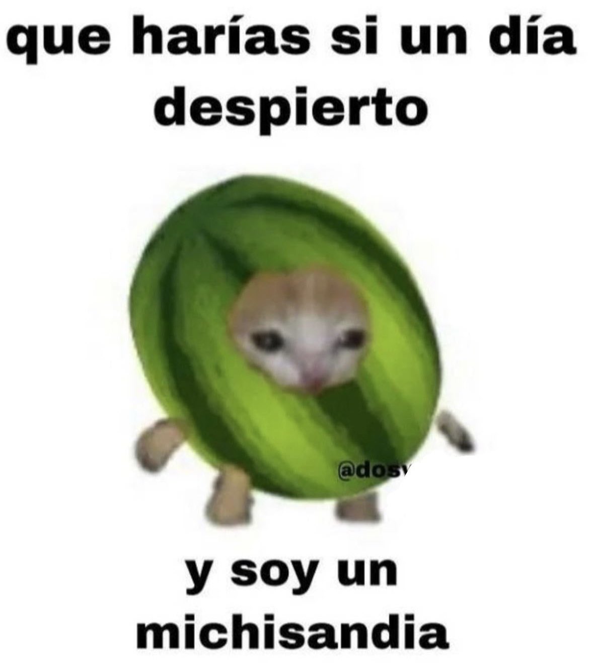 Memes Sandia