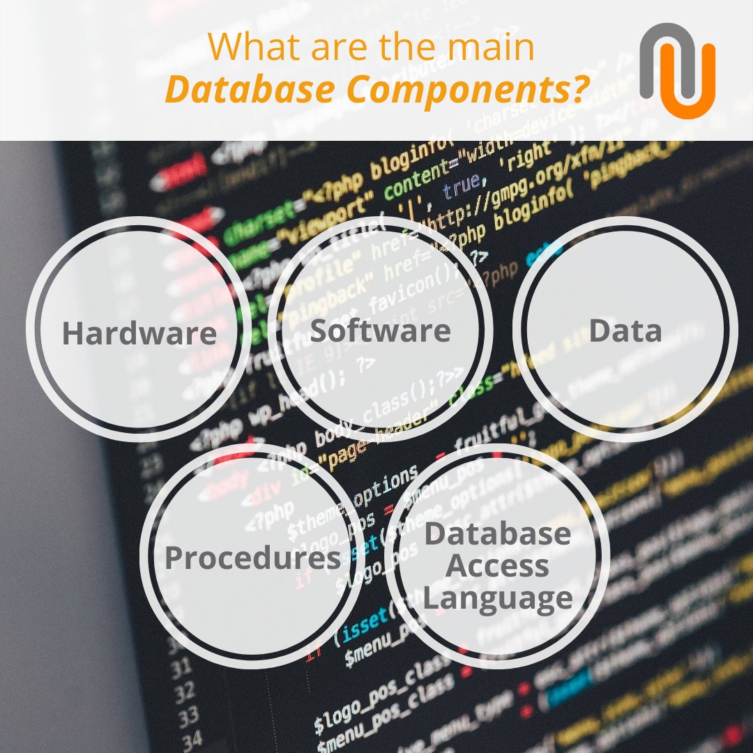 nuVector on Twitter: "The main Database Components: Hardware Software Data Procedures Database ...