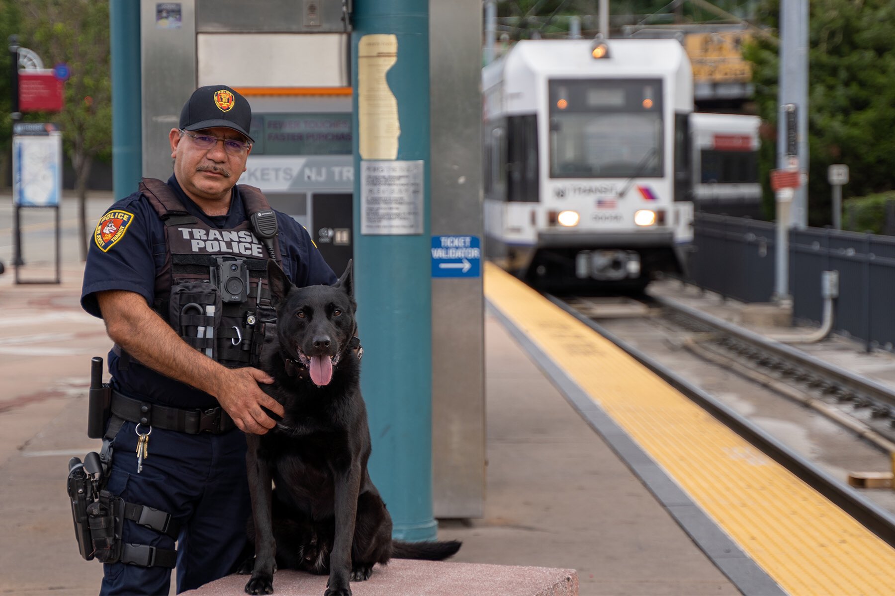 Can Dogs Go On Nj Transit