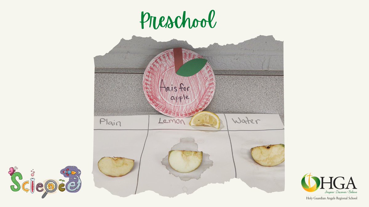 HGA Regional School on Twitter: "#HGAHighligt Our PreK finished up the ...