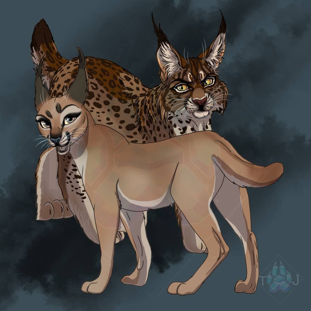 Caracal Lynx Hybrid