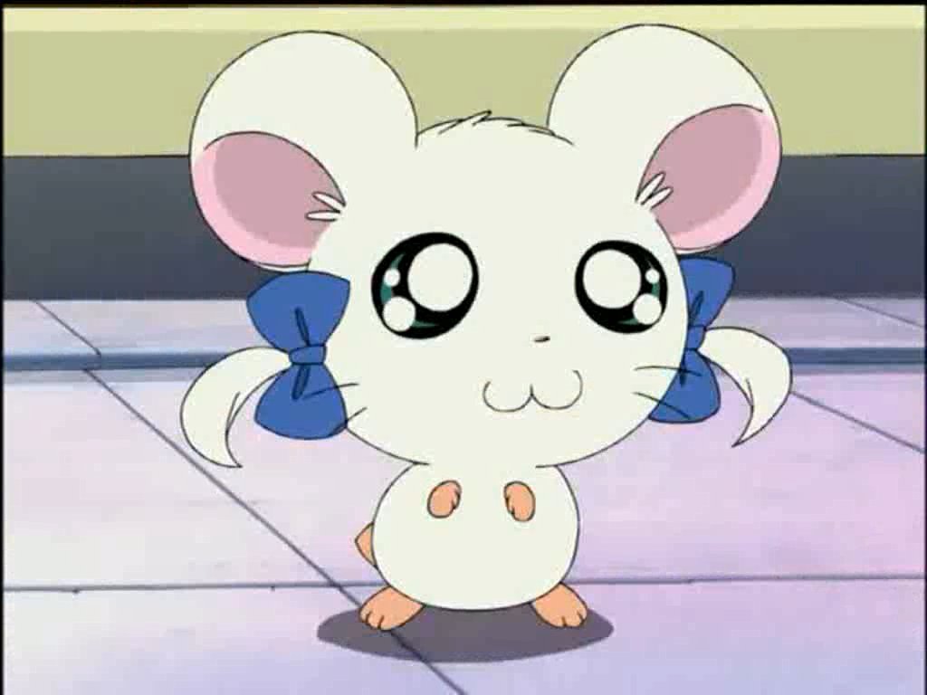 Lapis Hamtaro