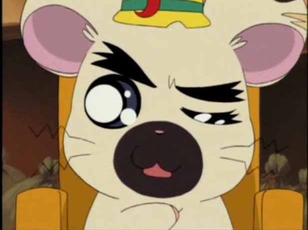 Hamtaro Boss And Bijou