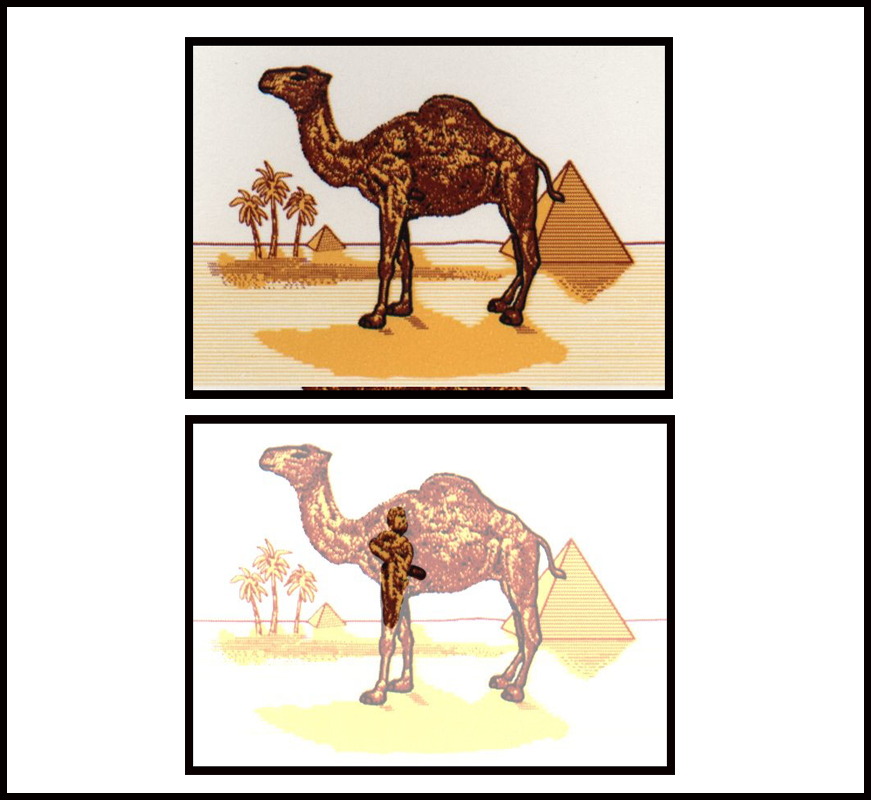Camel Cigarettes Logo Subliminal