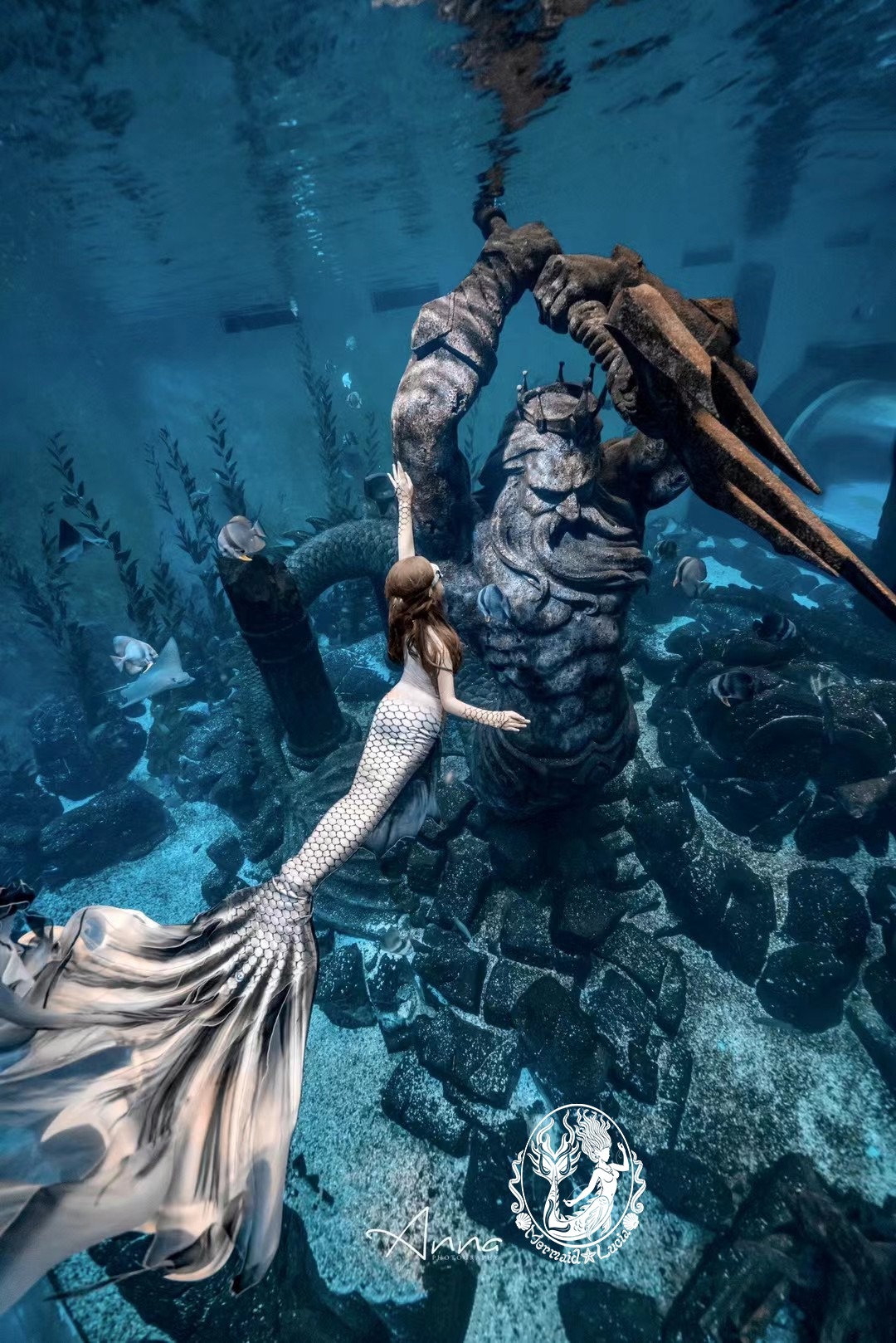 She Creature Mermaid Tail