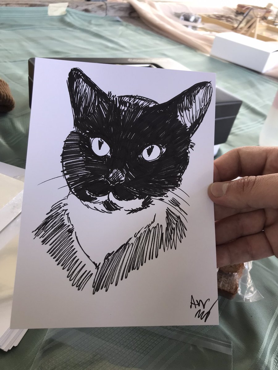 I drew a Lot of pets today