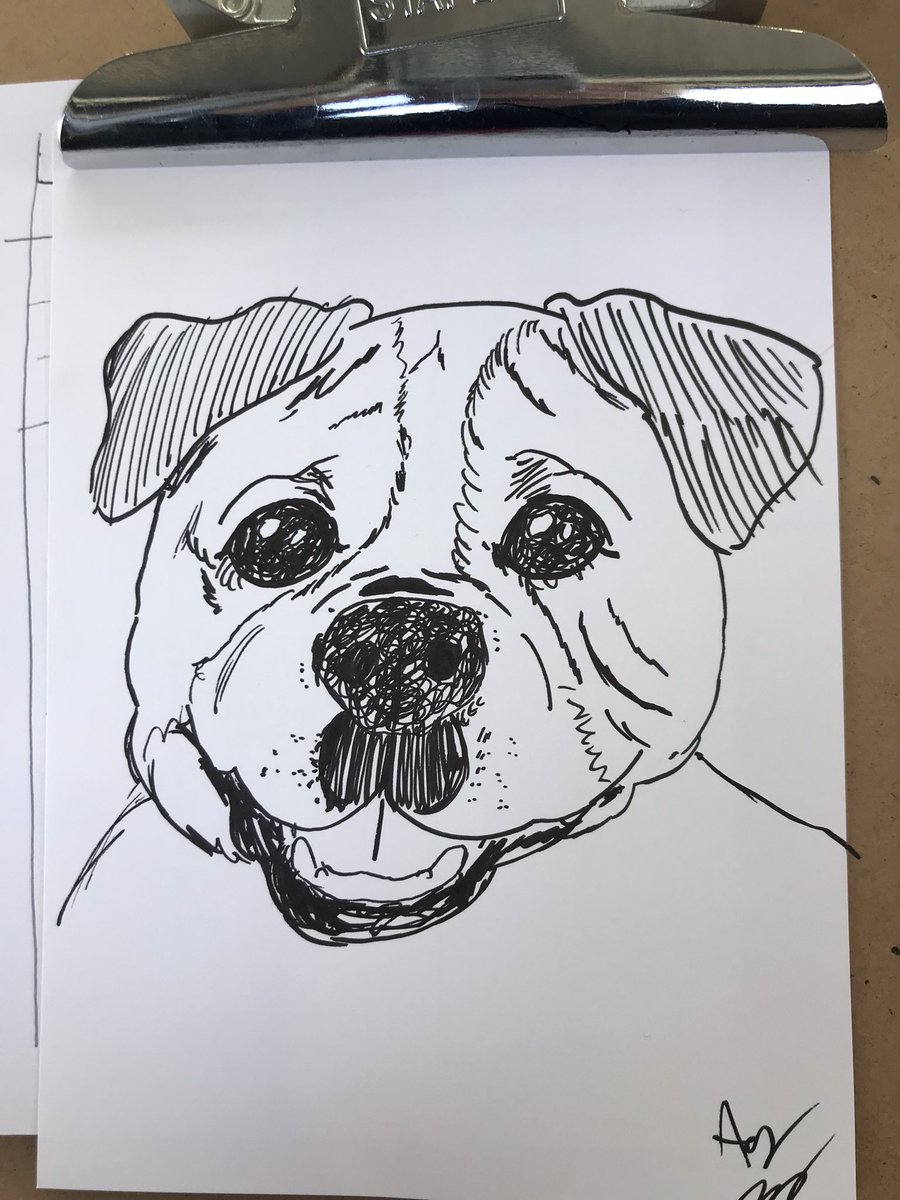 I drew a Lot of pets today