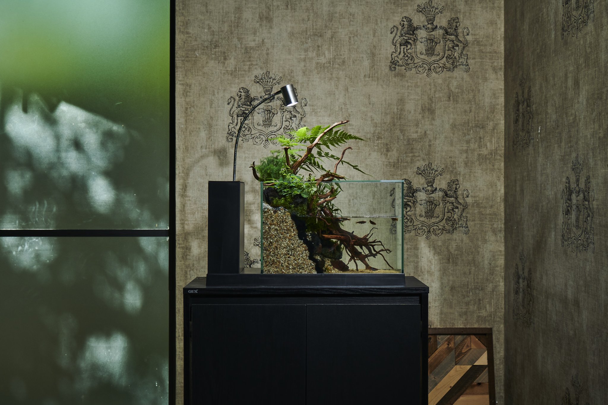 GEX aquarium ジェックス on Twitter: "いよいよ明日から出荷開始。GEX aquarista AQUA-U WIDE、開封動画を公開しました！ https://t.co ...