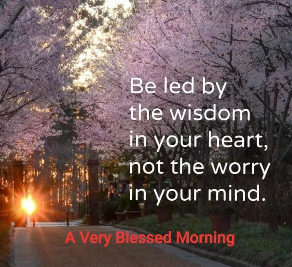 Ramphal Kataria رامپھل لٹاریا on Twitter: