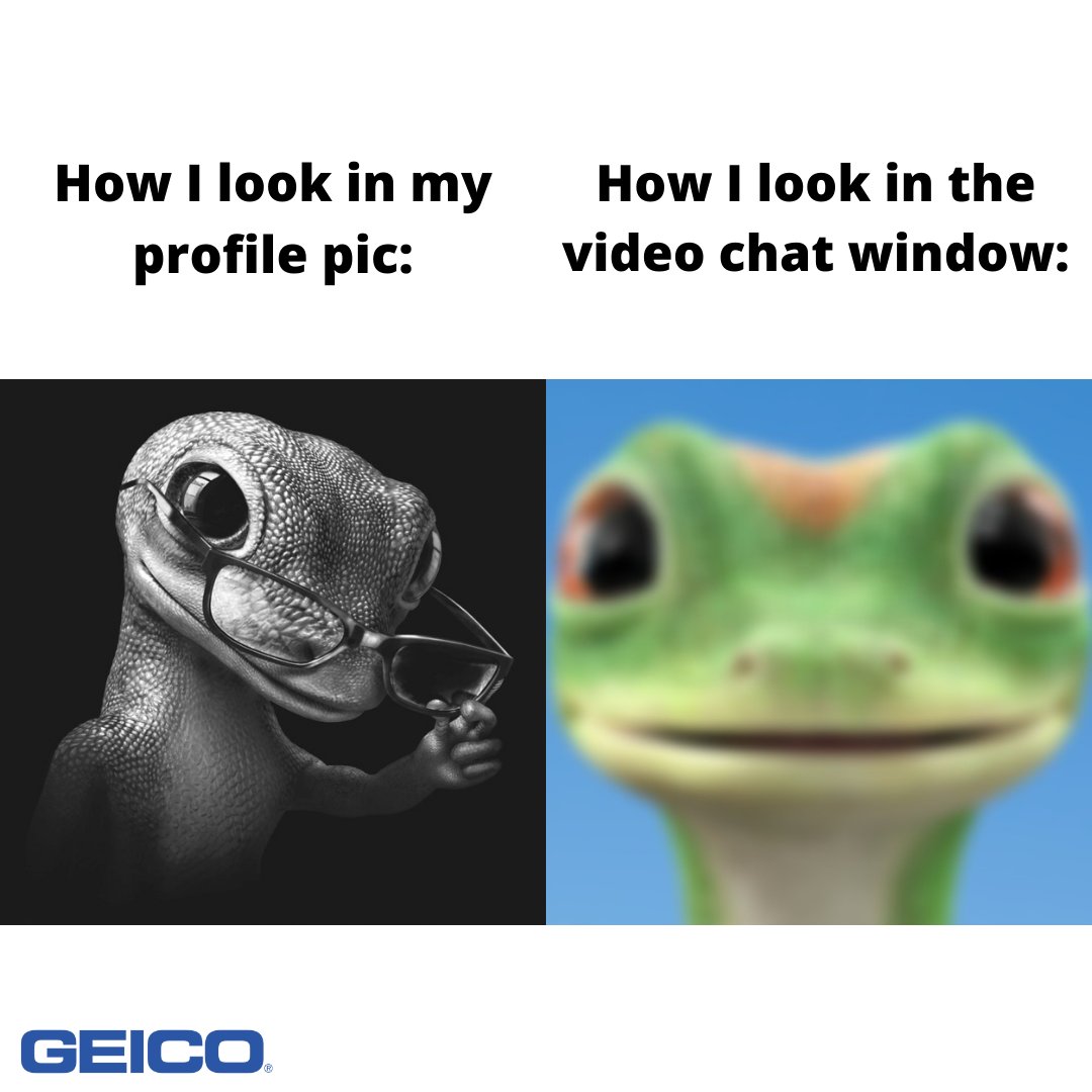Geico Funny Signs