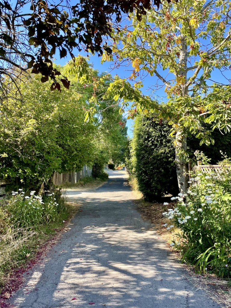 Howard Anglin's Instagram, Twitter & Facebook on IDCrawl