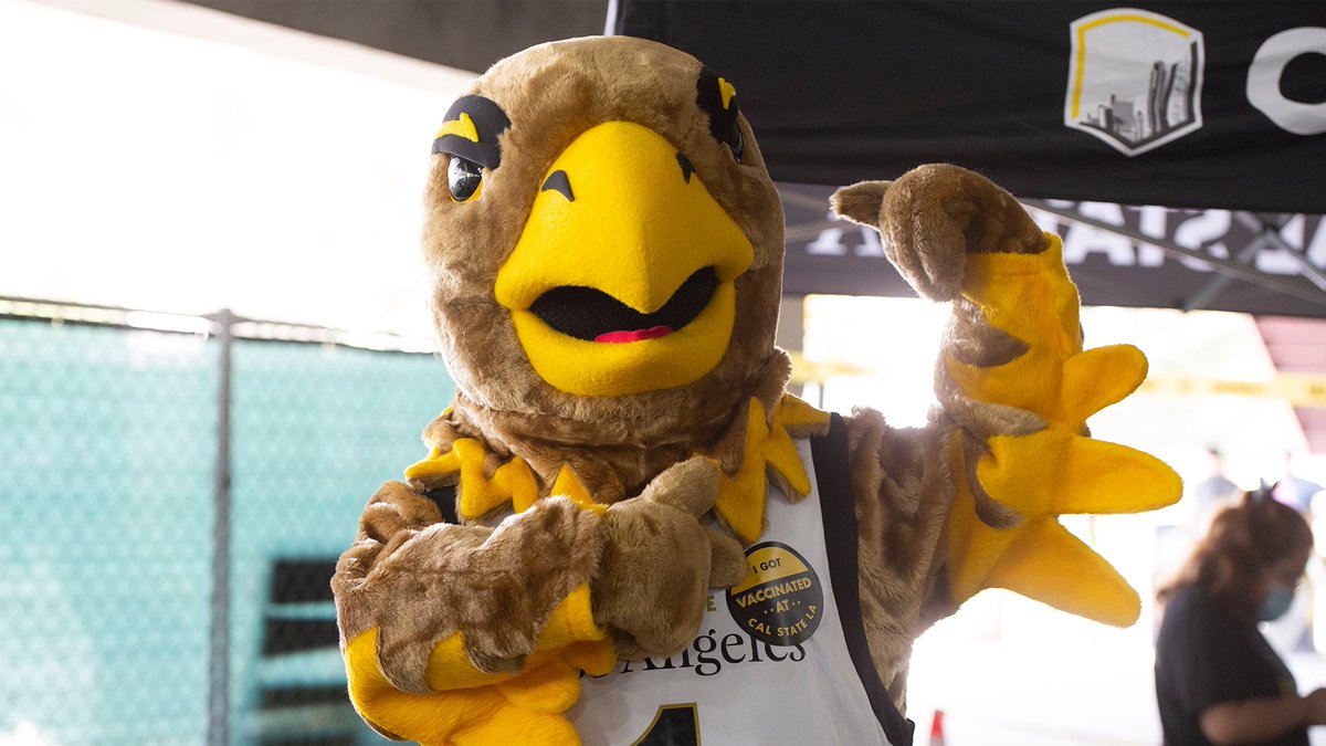 Cal State Los Angeles Mascot 610 University Of California Los Angeles