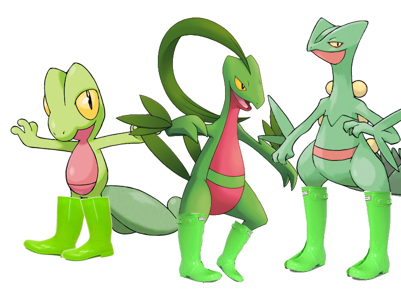 Grovyle And Sceptile