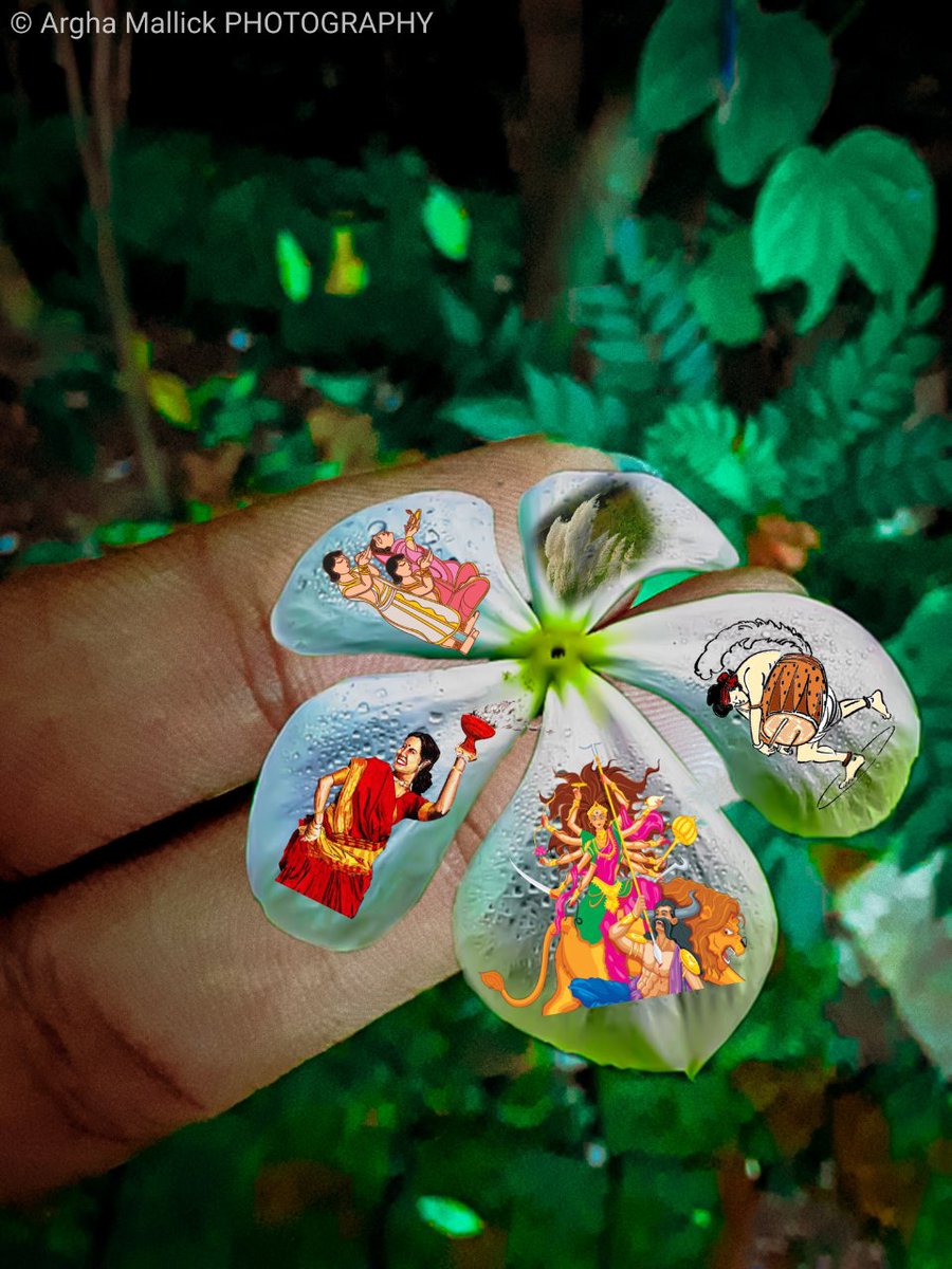 Argha Mallick (@iamarghamallick) | Twitter