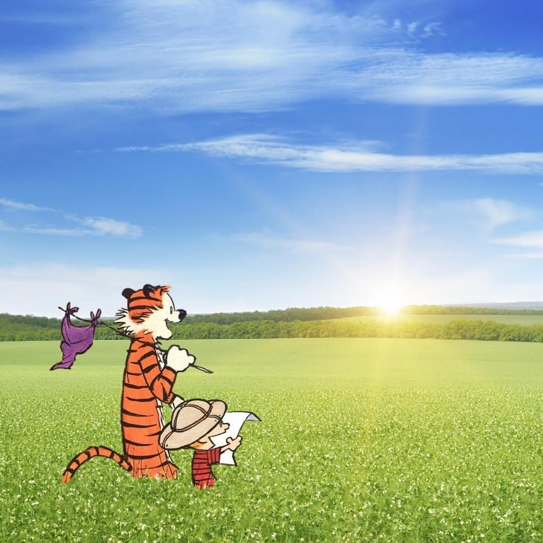 Calvin And Hobbes Wallpaper Spring