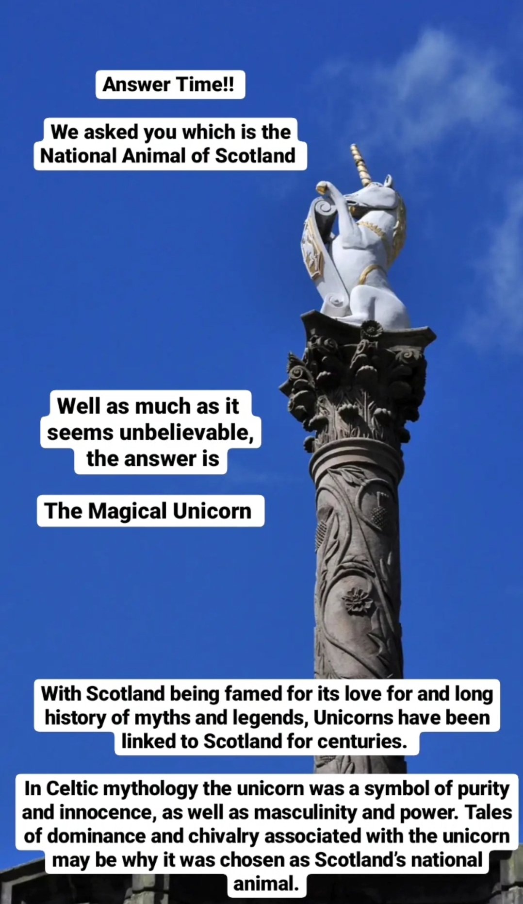Unicorn Scotland National Animal The Unicorn, Scotland's National