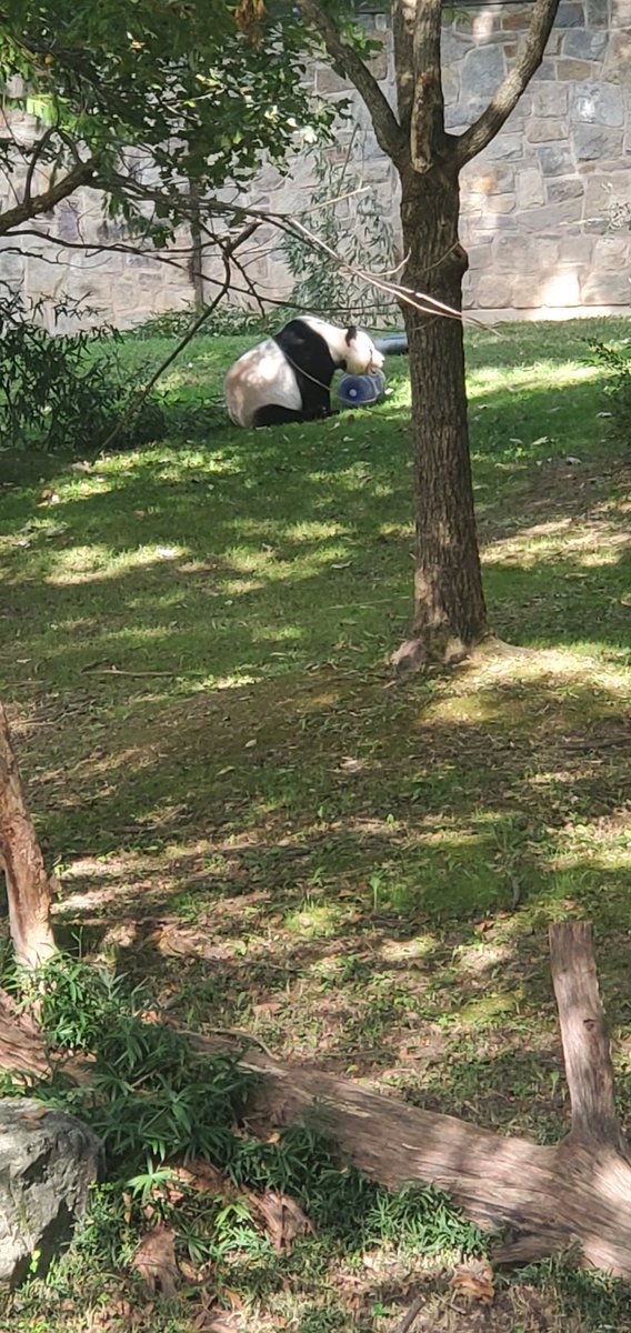 Zanthulolさんのイラストまとめ