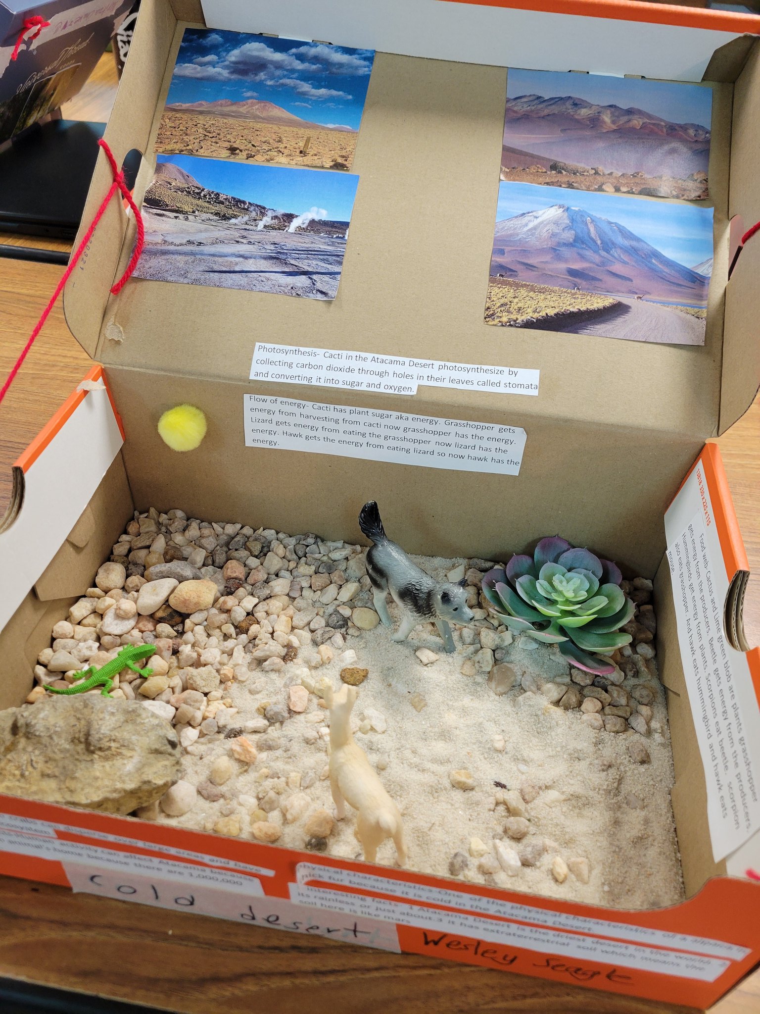 Grade 3 Habitat Projects