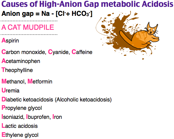 Mudpiles Anion Gap Metabolic Acidosis