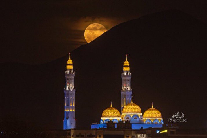 Modather Morgan (@ModatherMorgan) | Twitter