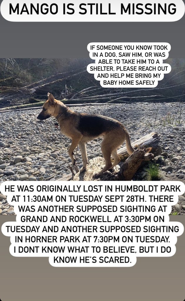 Meme A Dingo Stole My Baby