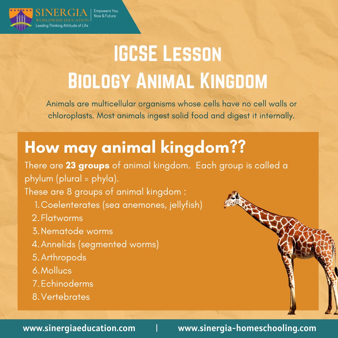 Multicellular Plants And Animals