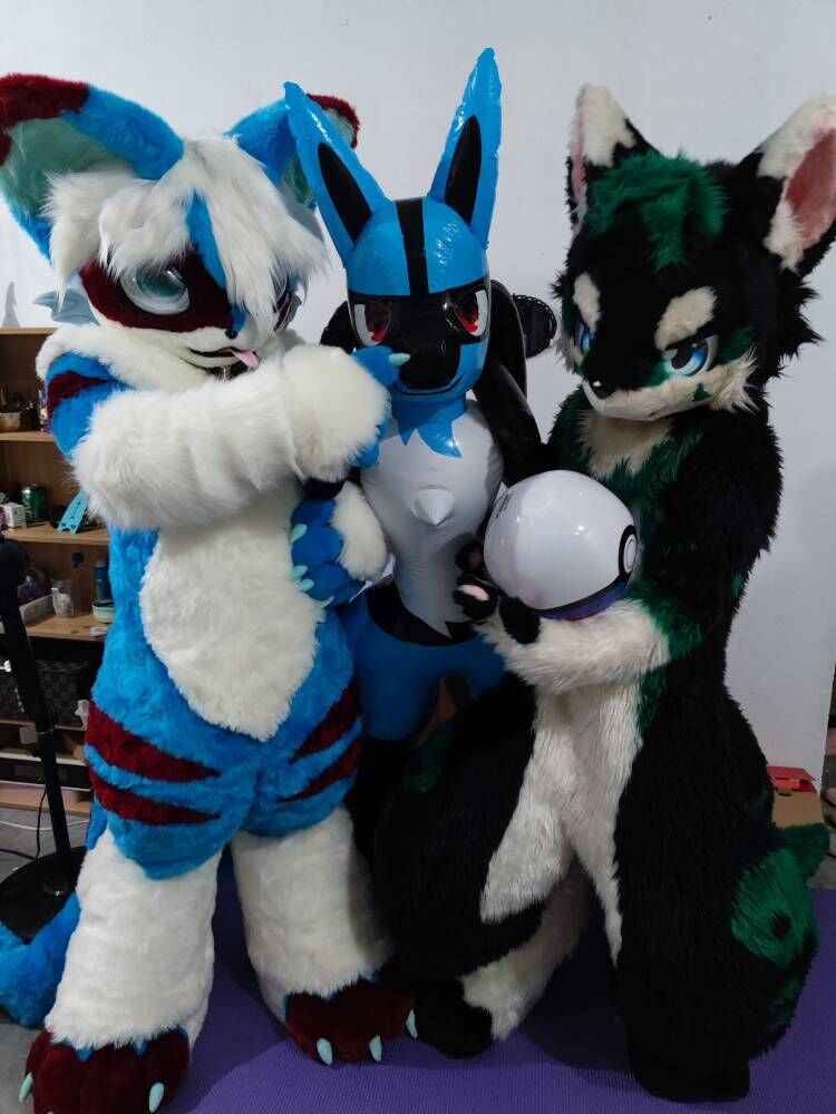 黒助/始源之星 on Twitter: "和@Squidsauce46 贴贴 #FursuitFriday https://t.co/VUUG5XwThU" / Twitter