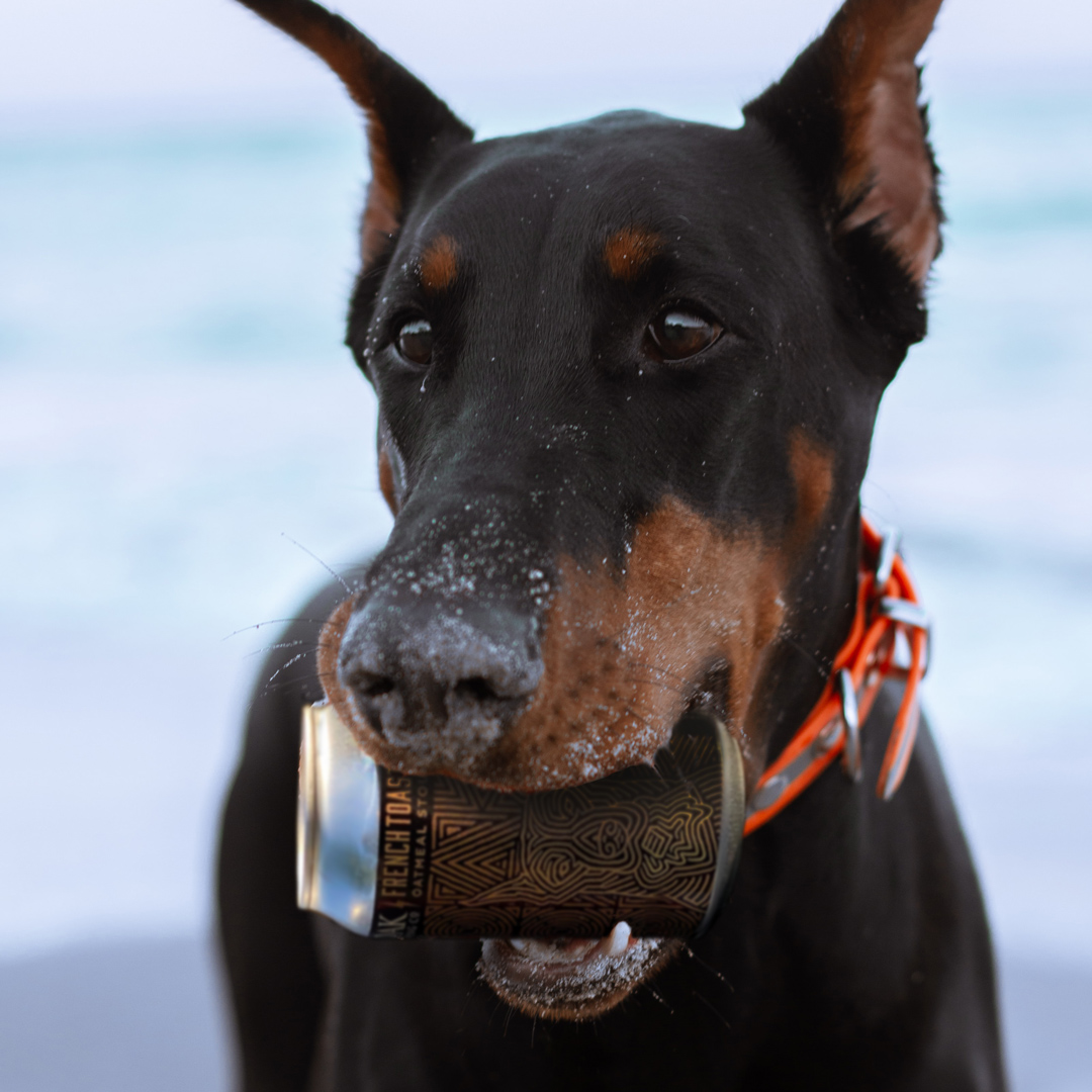 What Is Devil Dog Day