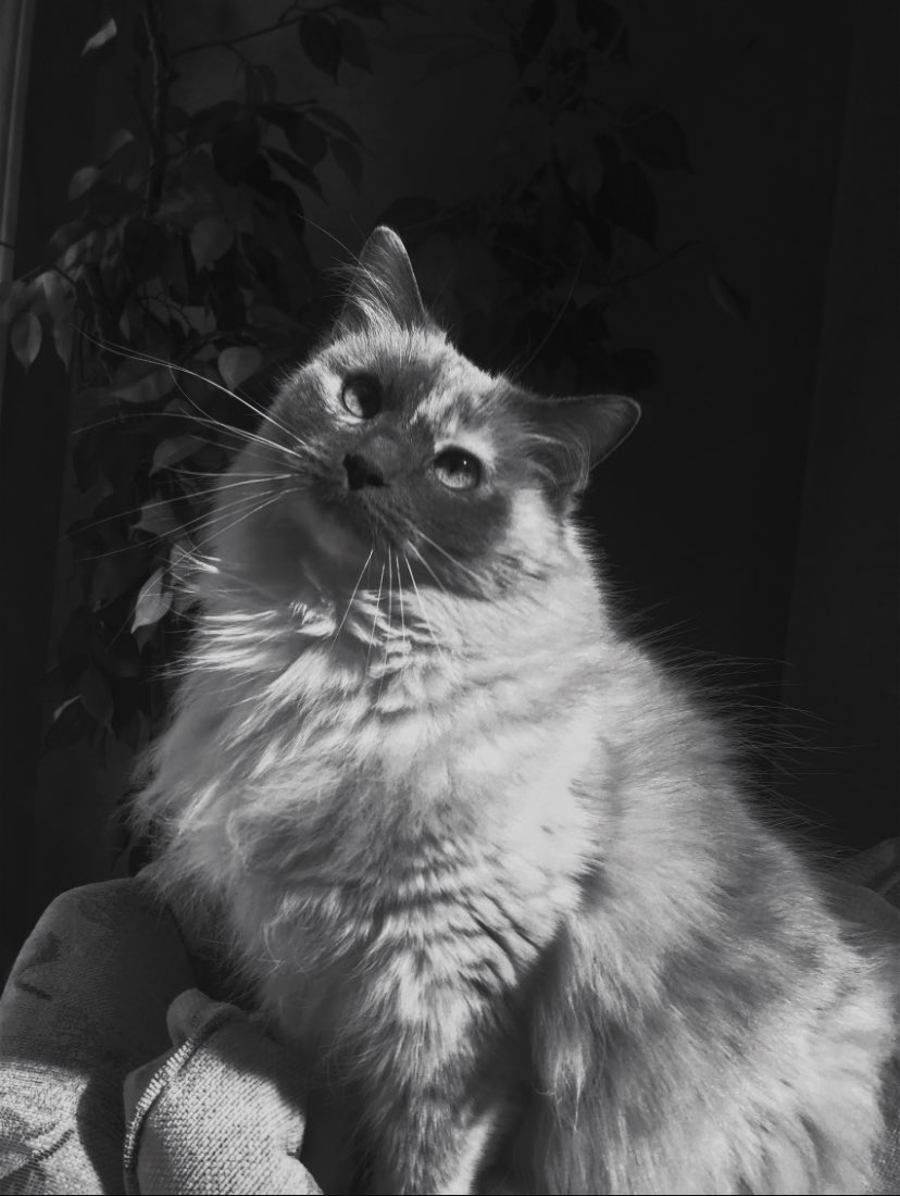 Examples Of Value In Photography