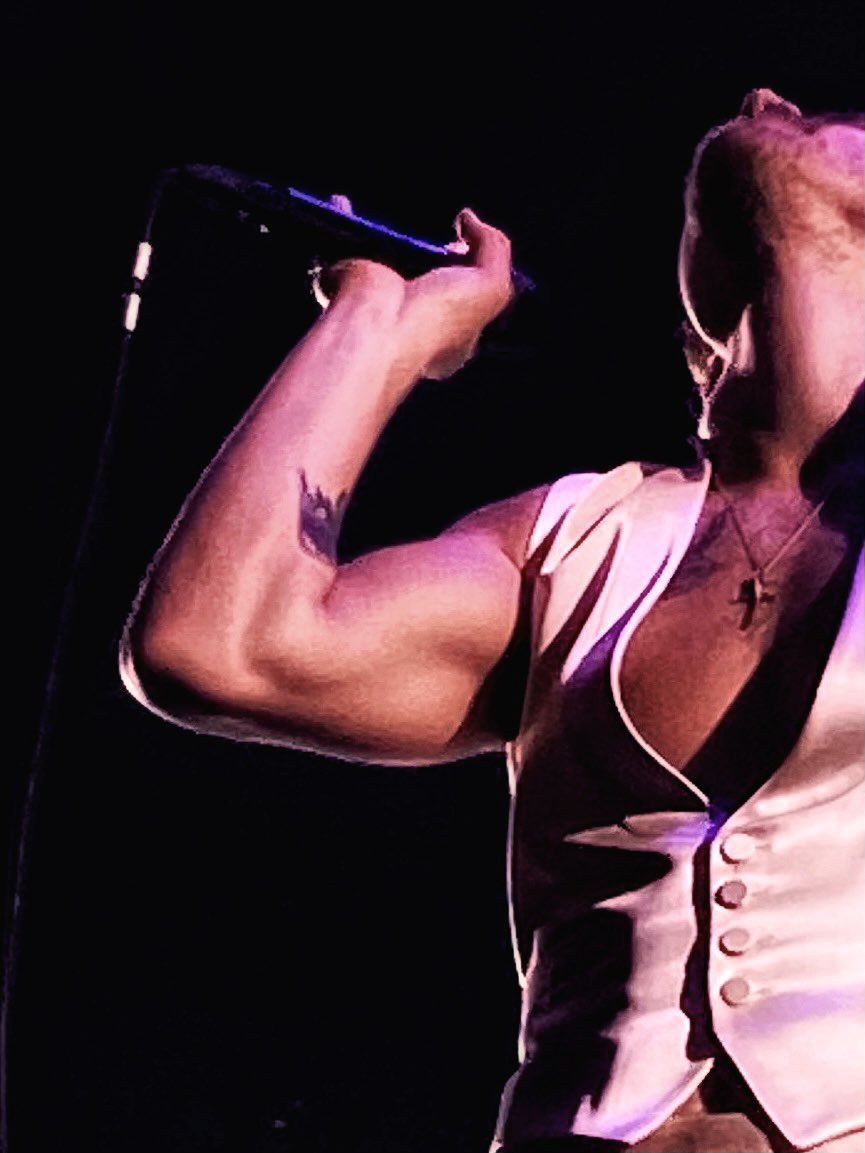 Harry Styles Biceps