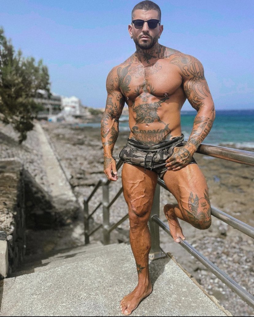 SILVERBACK on Twitter: "#Silverback…