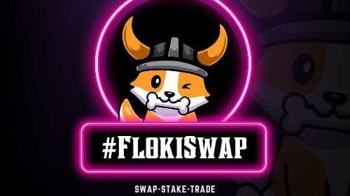 Mini Floki #FlokiSwap (@MiniFlokiBSC) | Twitter