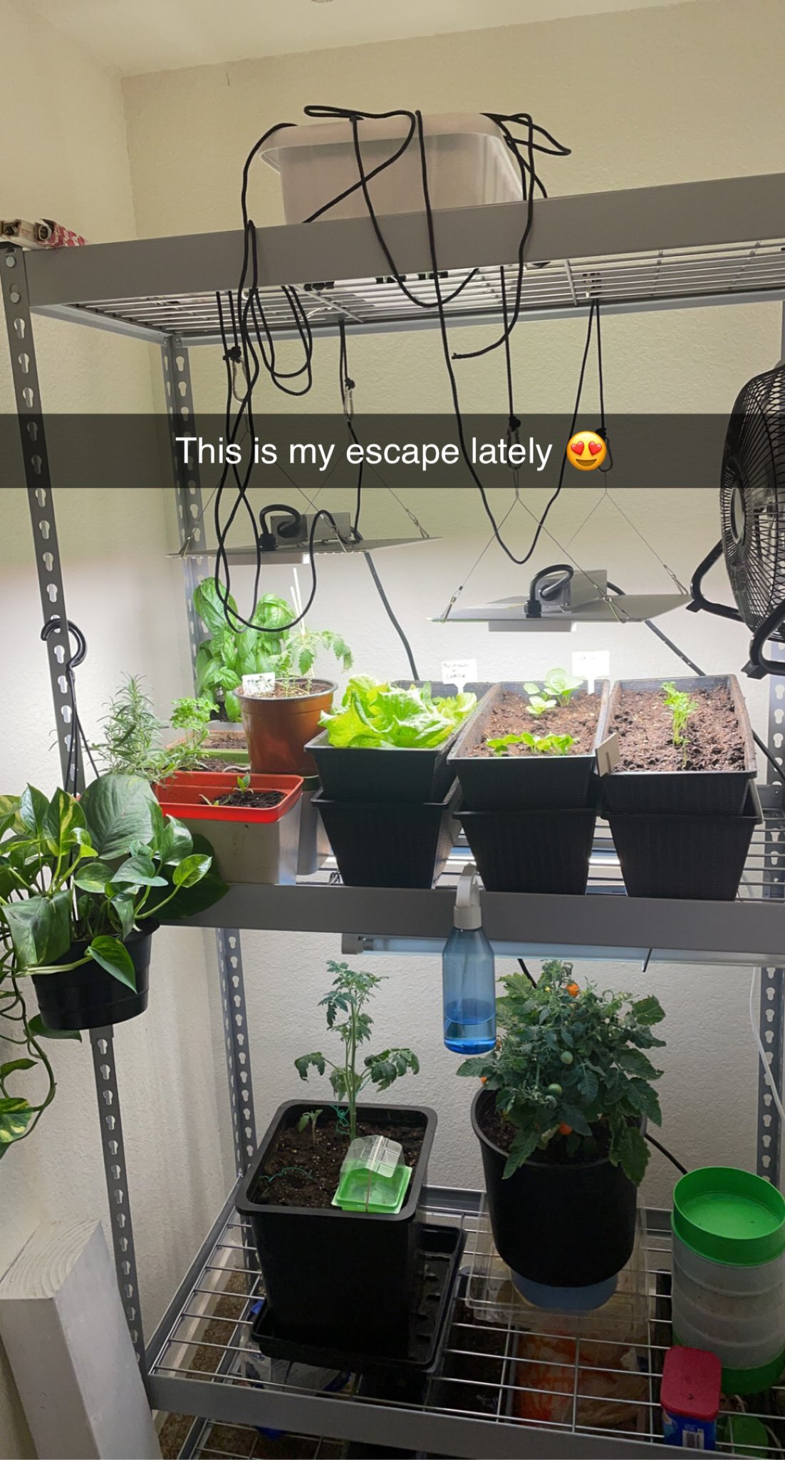 TW Pornstars - Cyndi Sinclair. Twitter. Fan: “You must have an exciting ...