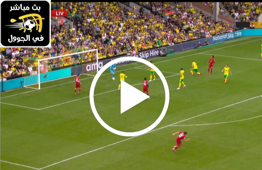 بث مباشر للمباريات (@fel3arda_com) | Twitter