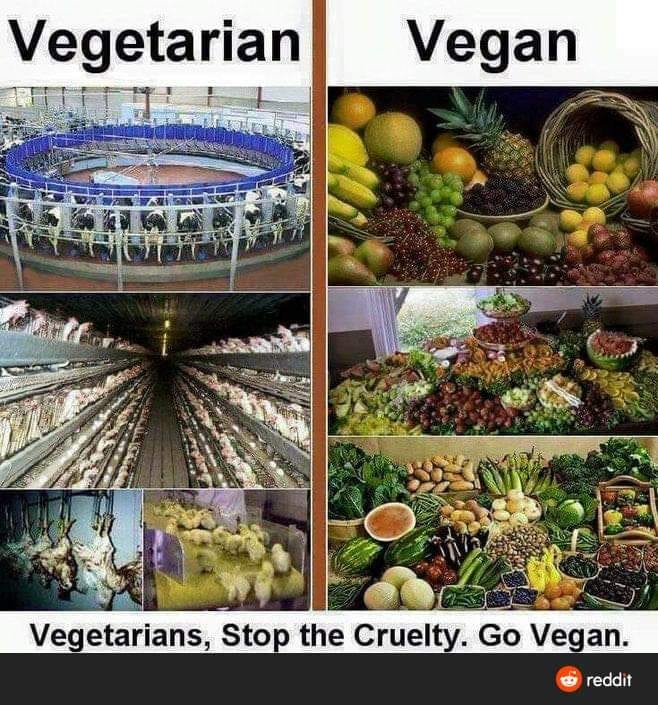 Khin Maung Zaw (@KhinMau05473417) | Twitter