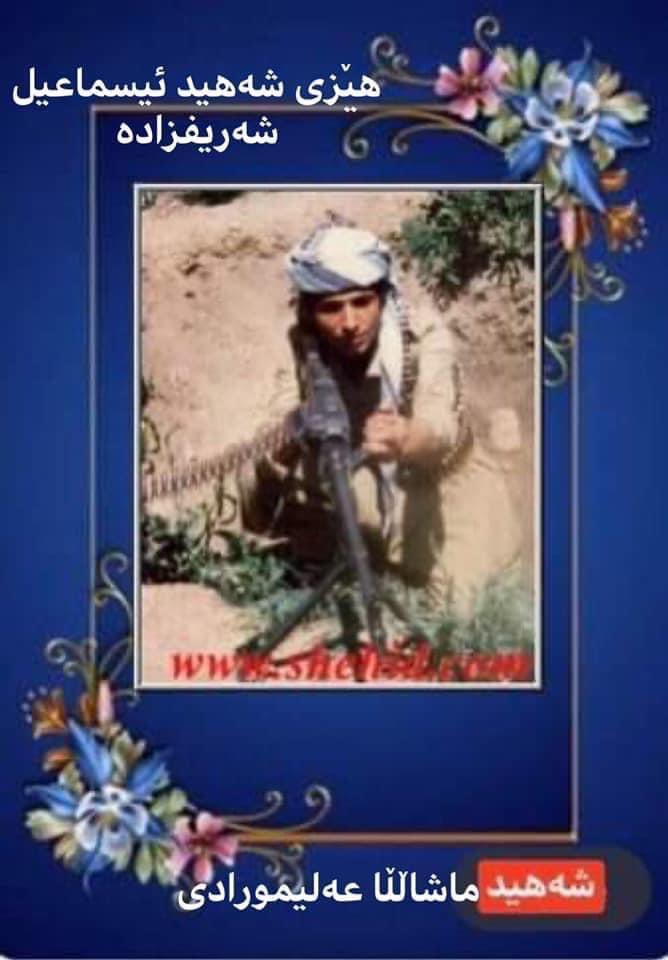 Raza Mostafa-Soltani (@Raza_M_soltani) | Twitter