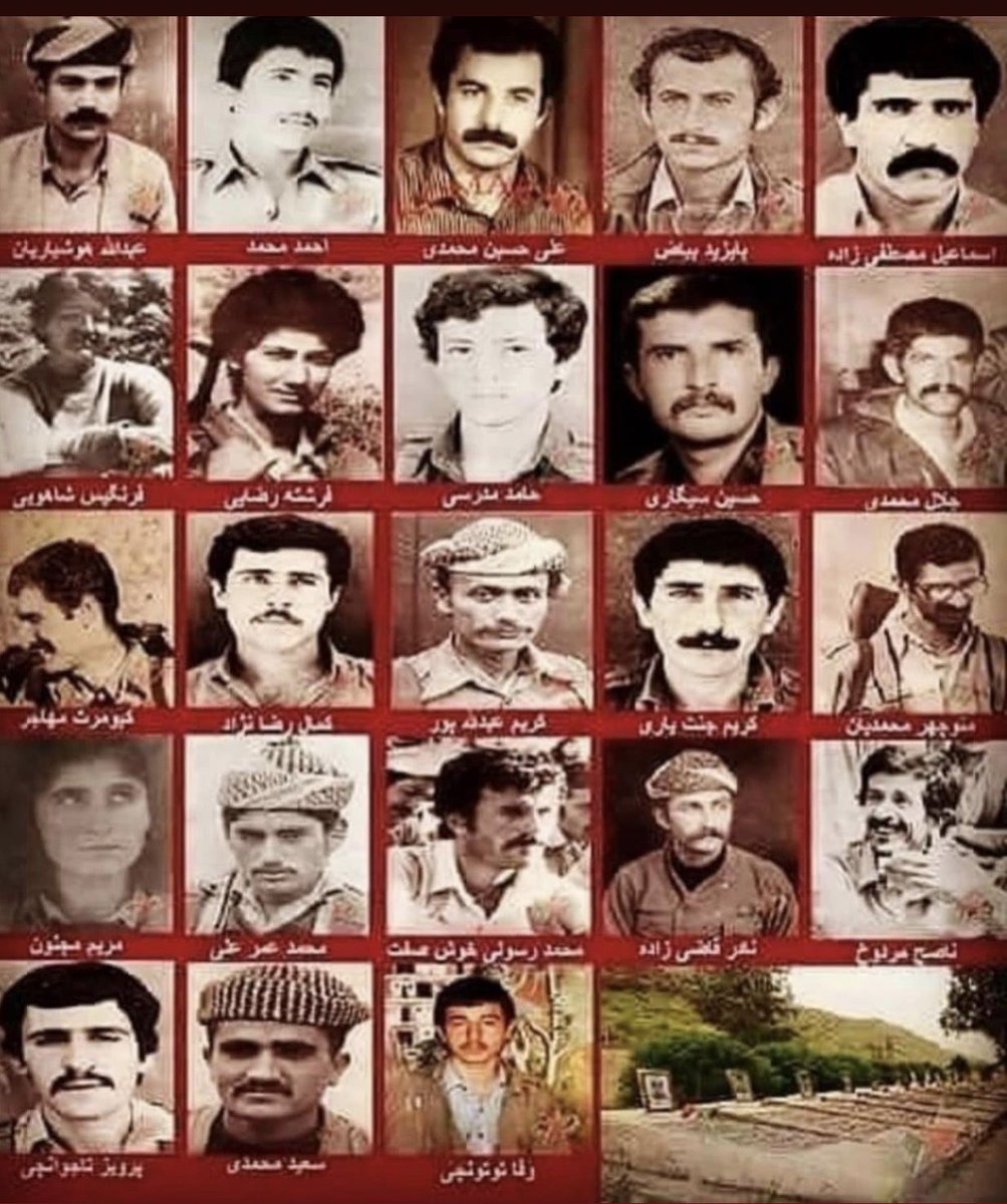 Raza Mostafa-Soltani (@Raza_M_soltani) | Twitter