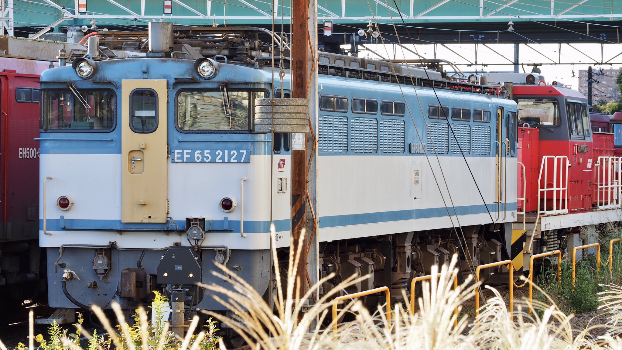 OJゲージ鉄道模型管理局 上野機関区 on Twitter: "2021年10月18日 新鶴見機関区西機待線にはEF65 2127 カラシがHD300-17無動を連結して留置中。HD300 ...