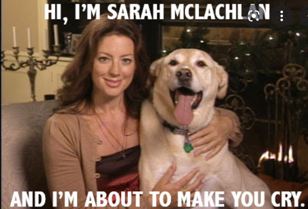 Sara Mclaughlin Meme