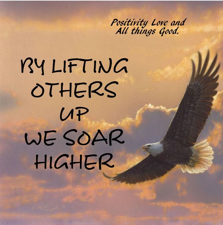 Soar High Quotes As You Soar To New Heights, Know We're Cheering You