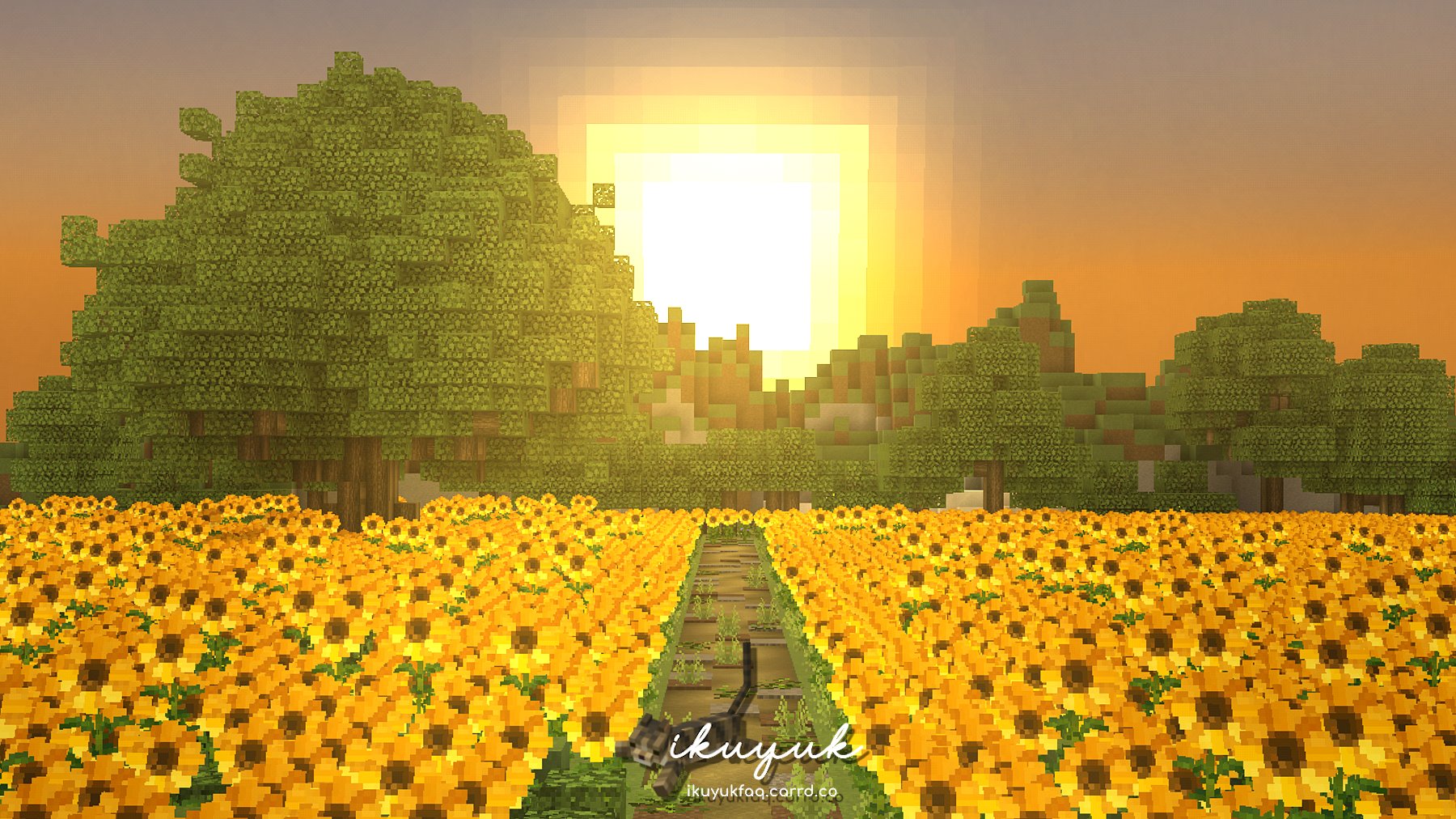 Minecraft Sunflower Plant