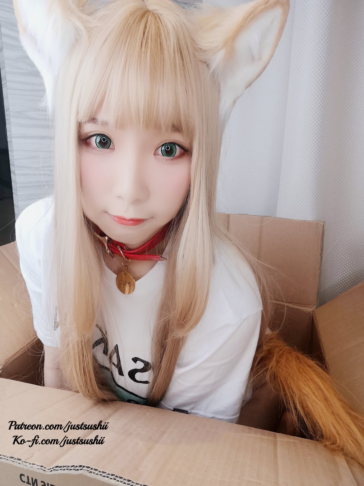 Sushii on Twitter: "Neko for Adoption ️ Check out the link to bring Kinako home with just USD 5. ...