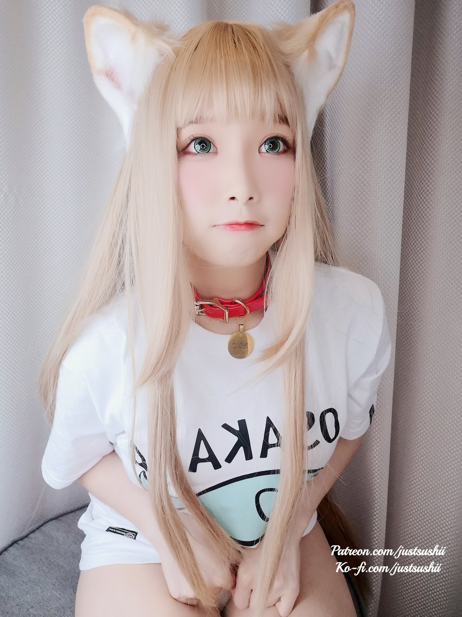 Sushii on Twitter: "Neko for Adoption ️ Check out the link to bring Kinako home with just USD 5. ...