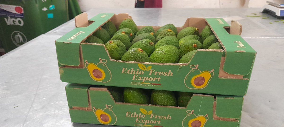 Mandefro Nigussie (@mandefro_niguss) | Twitter