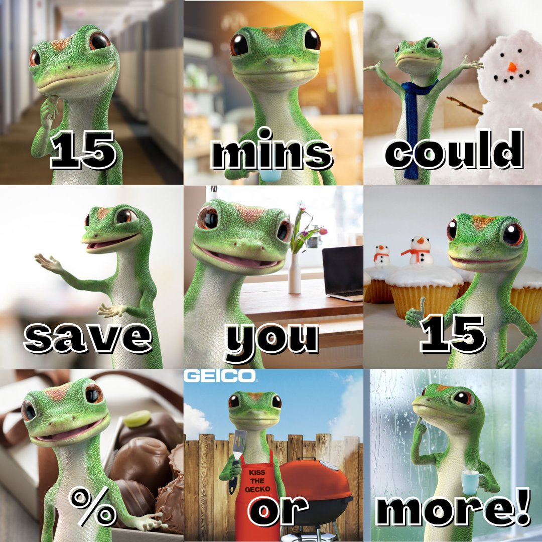 Geico Funny Signs