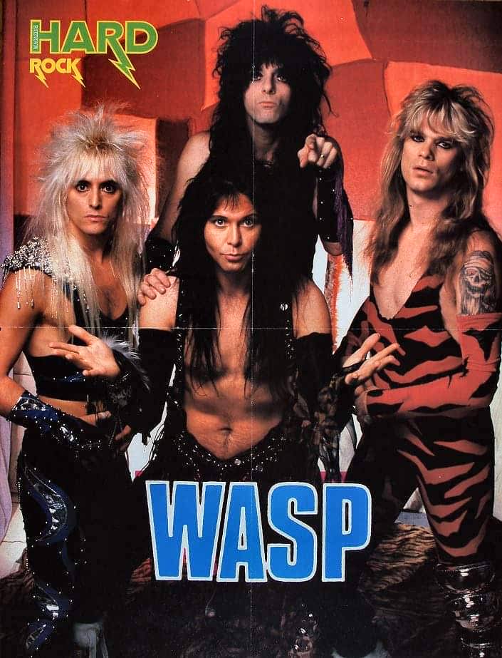 Wasp Band 80s