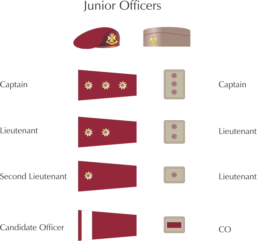 SA National Defence Force On X: #SANDF Military Rank, 58% OFF